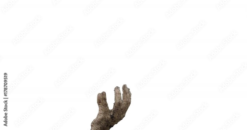 Undead - Hands and forearms of a zombie who is rising from the dead ...