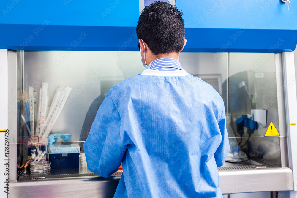 Young scientist working in a safety laminar air flow cabinet at ...