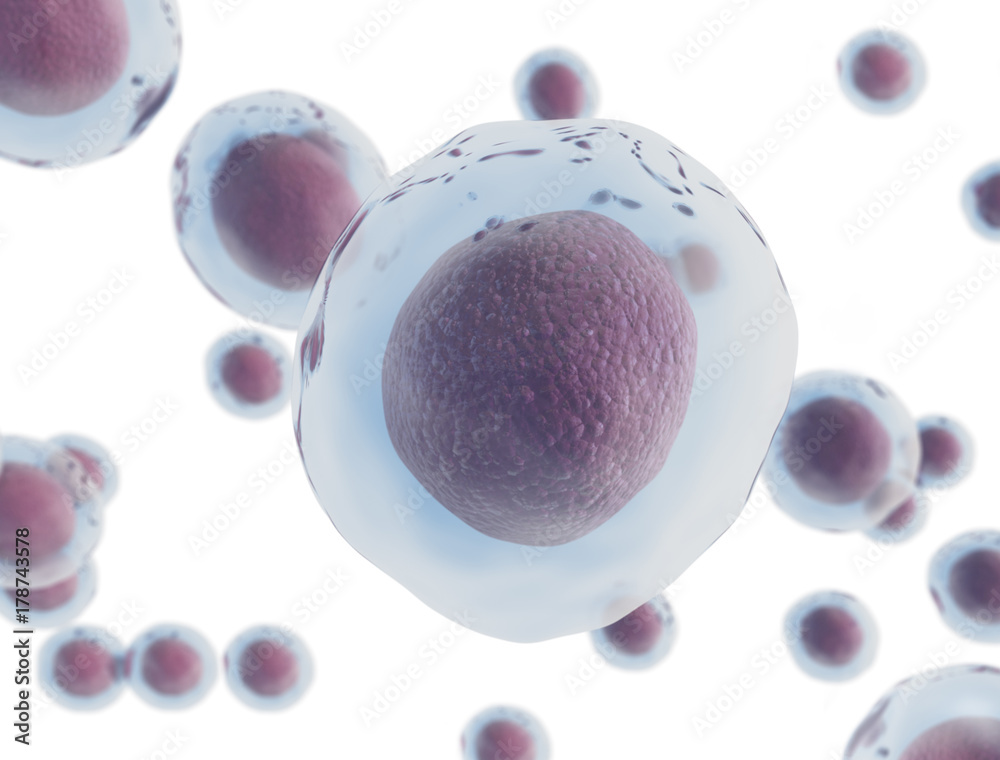 Cells isolated on white background Stock Illustration | Adobe Stock