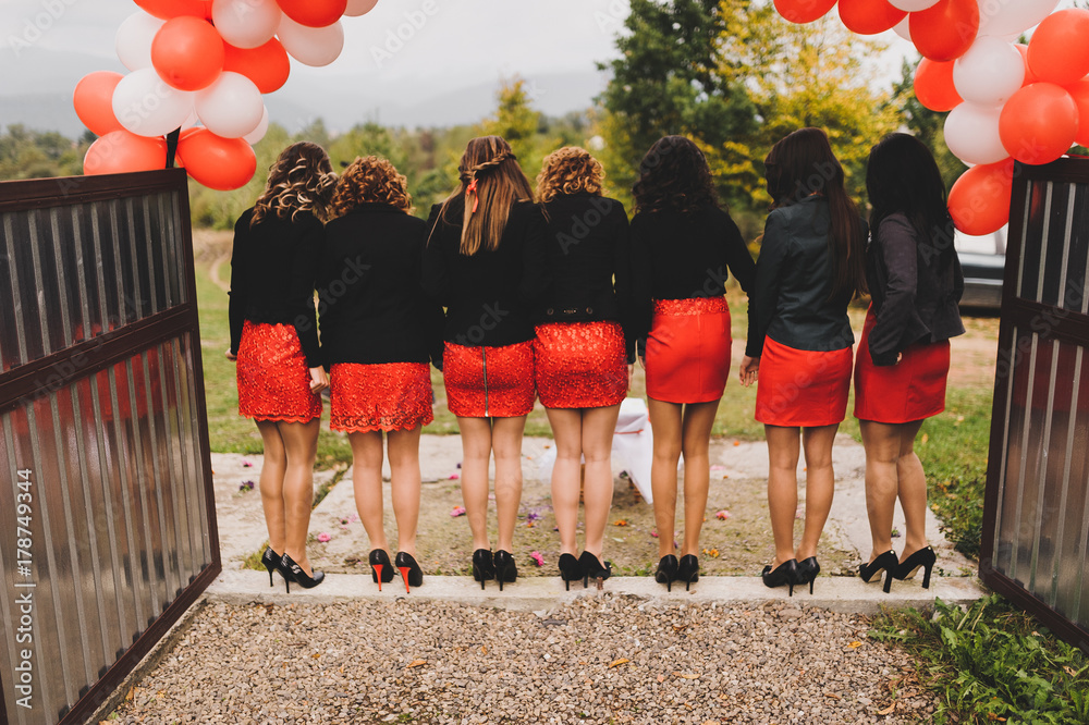 six girls in identical dresses, bride's girlfriend Stock Photo | Adobe ...