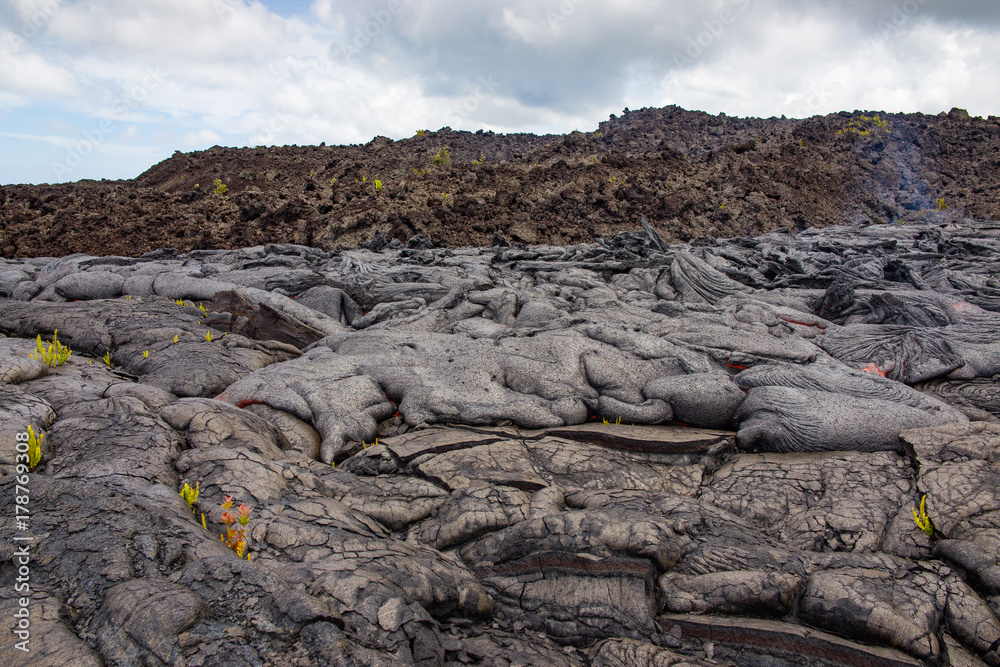 Lava Plain