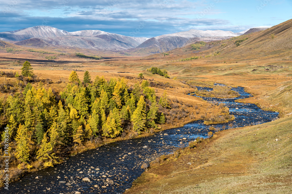 The Mongolian river Ih-Horo-gol, the tributary of Lake Hovsgol Stock ...