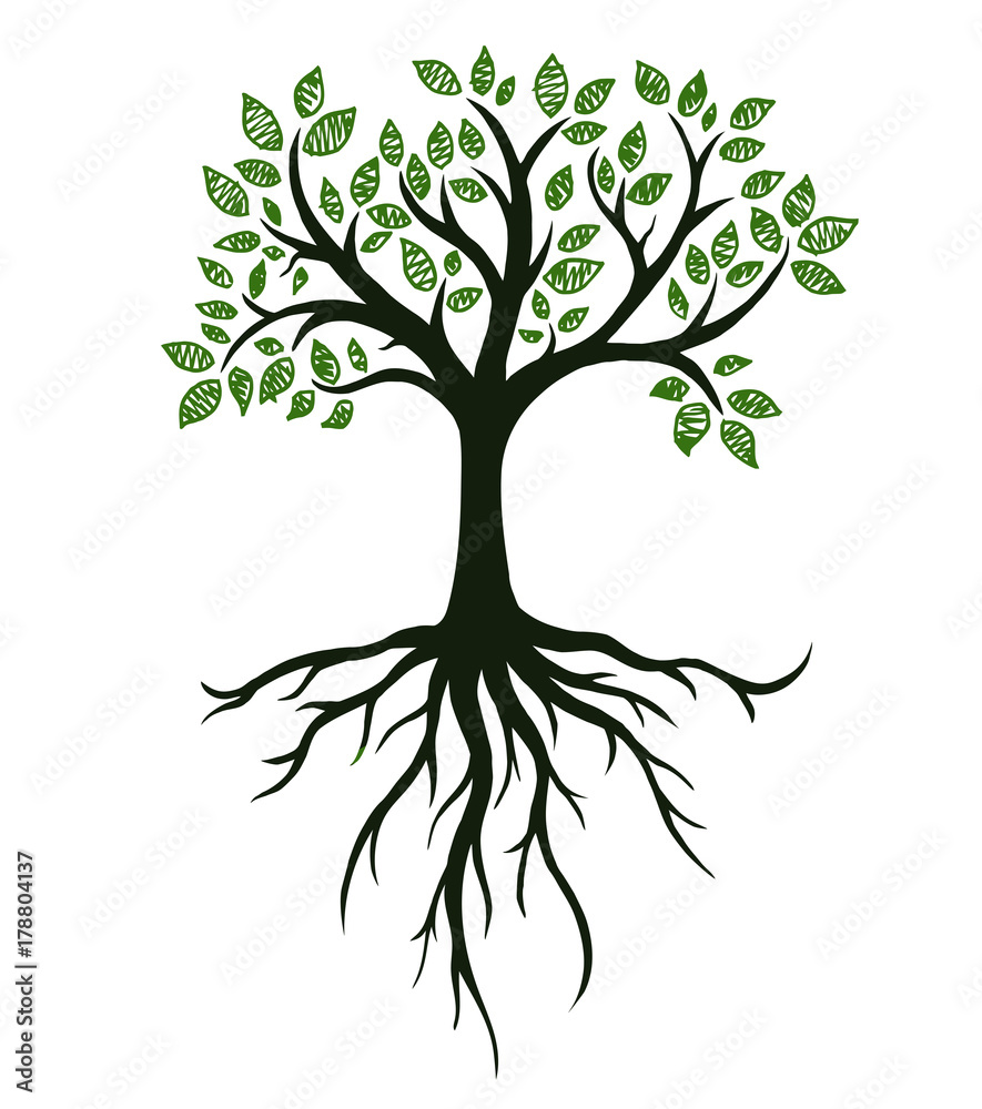 Tree symbol with roots, real hand drawing. Vector Illustration Stock ...