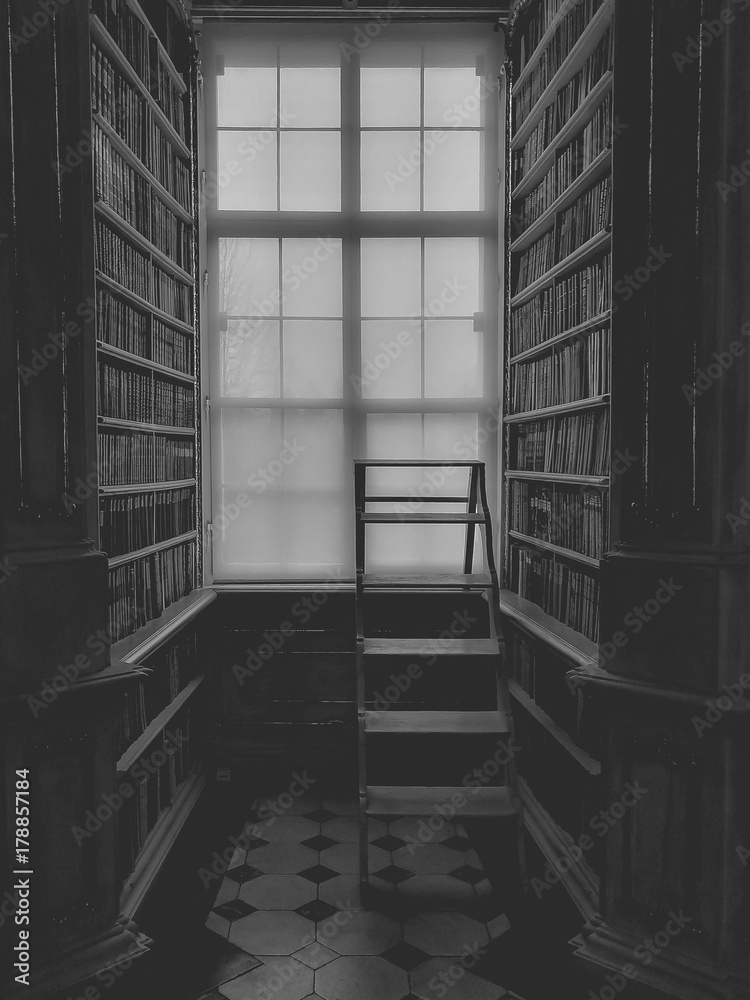 Old Dark Library