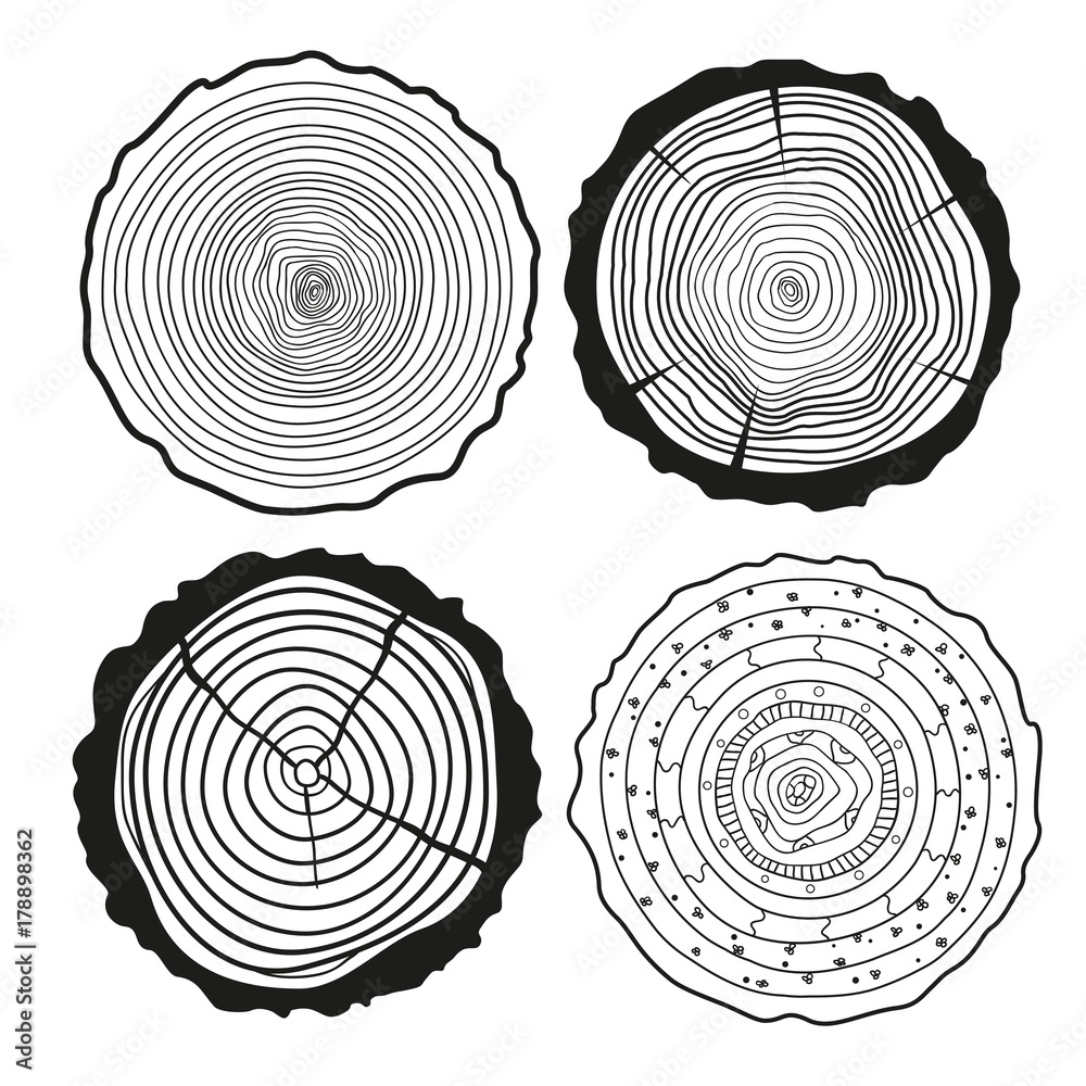 Tree rings. Set of cross section of the tree.Set of tree rings on ...
