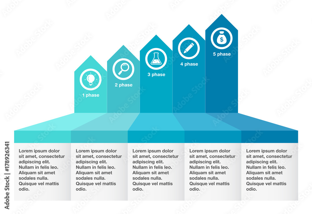 Business infographic elements, diagram, graph, presentation, chart ...