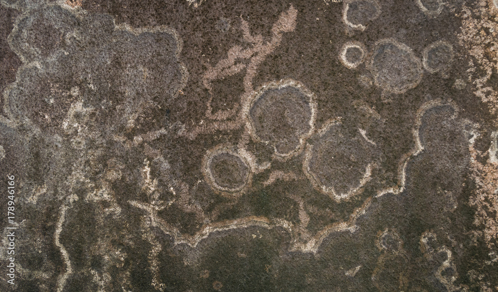 Abstract of fungus texture on the dirty wall in texture background ...