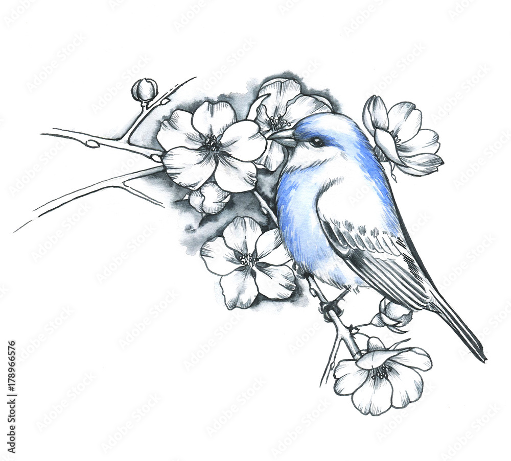 Hand drawn line art ink and watercolor blue bird with the flowers ...