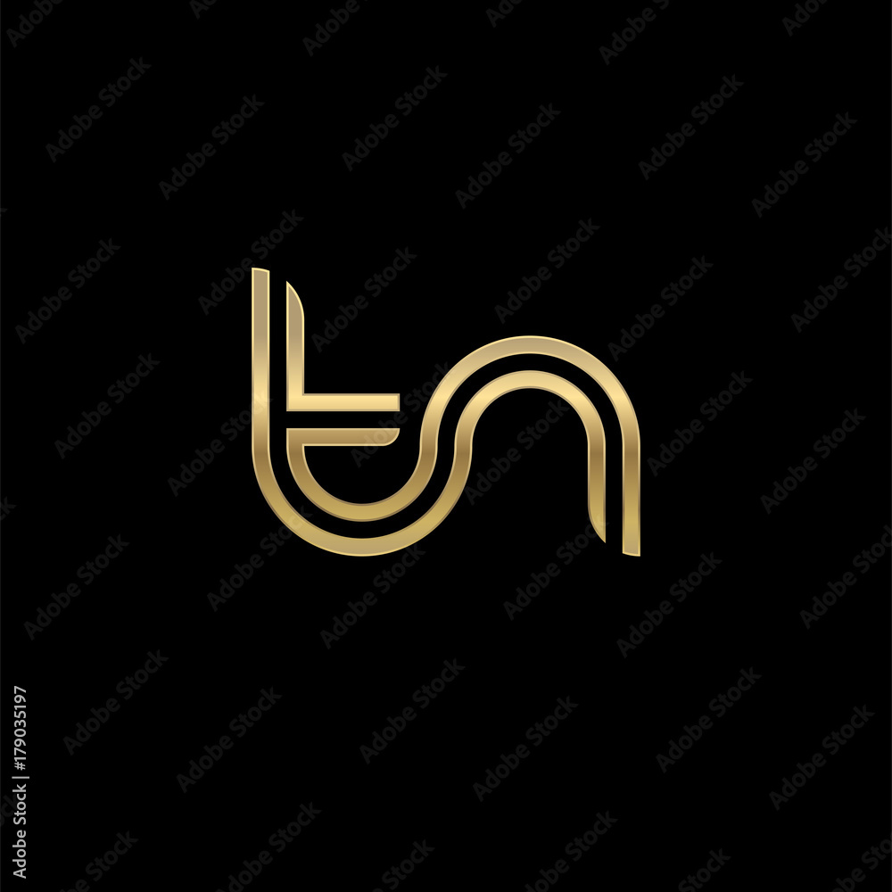 Initial lowercase letter tn, linked outline rounded logo, elegant ...