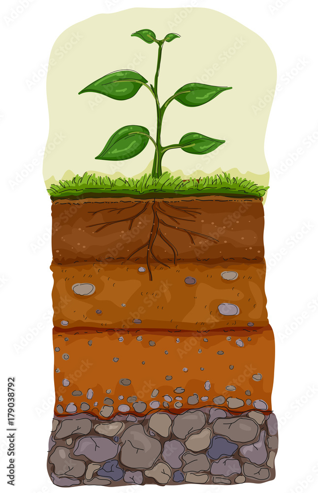 Soil Layer Illustration Stock Vector | Adobe Stock