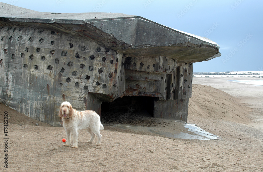 German bunker at the beach of Thyboroen. This is a former 10.5 cm ...