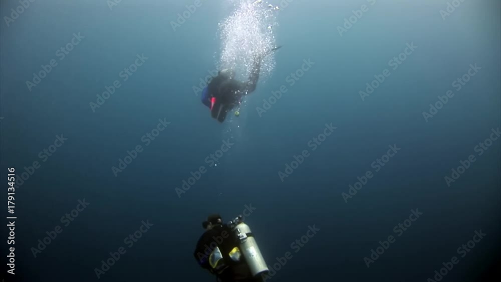 Scuba divers underwater in blue abyss in Galapagos. Unique beautiful ...