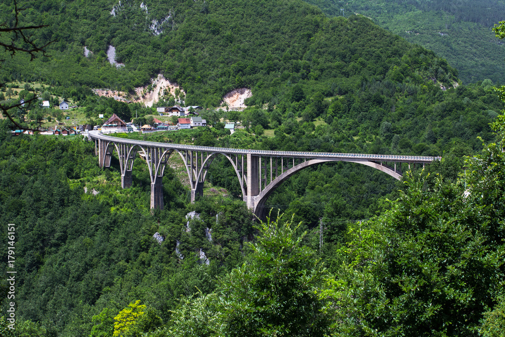 Durdevica Tara Bridge was designed by Mijat Trojanovic, was built ...