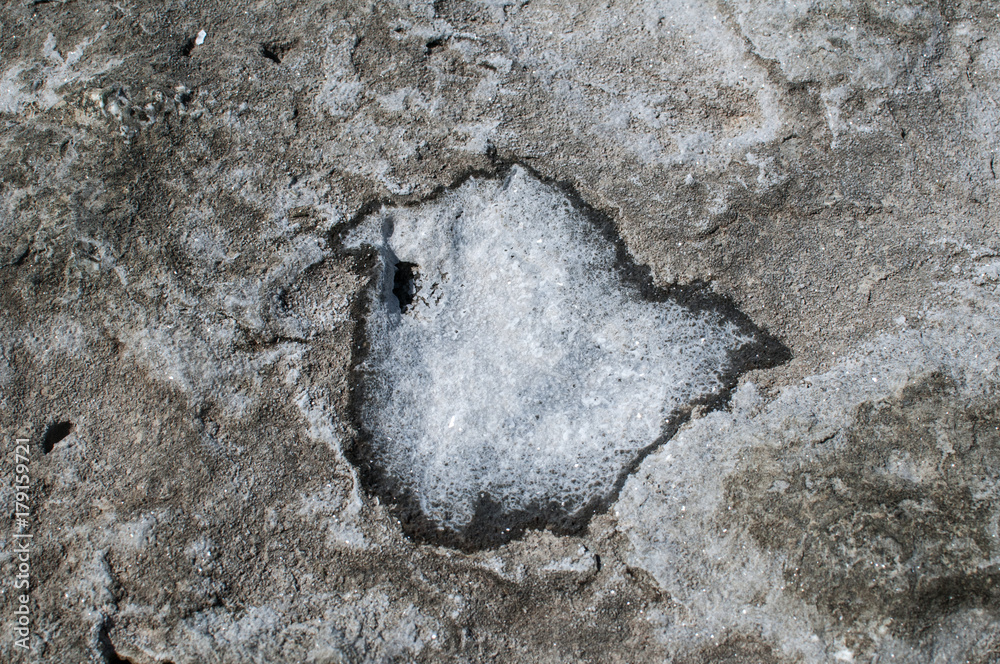 Surface of sea rock with dried and crystallized sea salt closeup as ...
