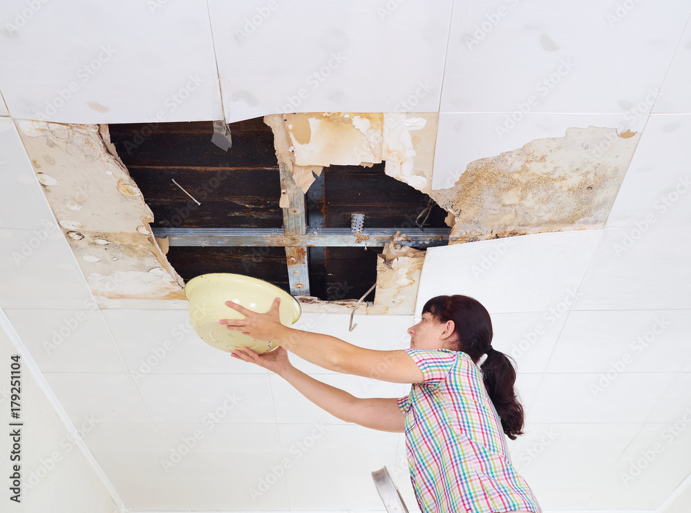 Young Woman Collecting Water In basin From Ceiling. Ceiling panels ...