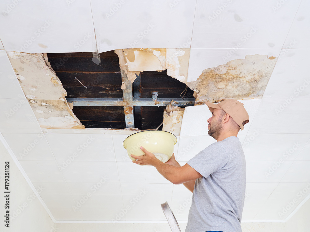 Man Collecting Water In basin From Ceiling. Ceiling panels damaged huge ...