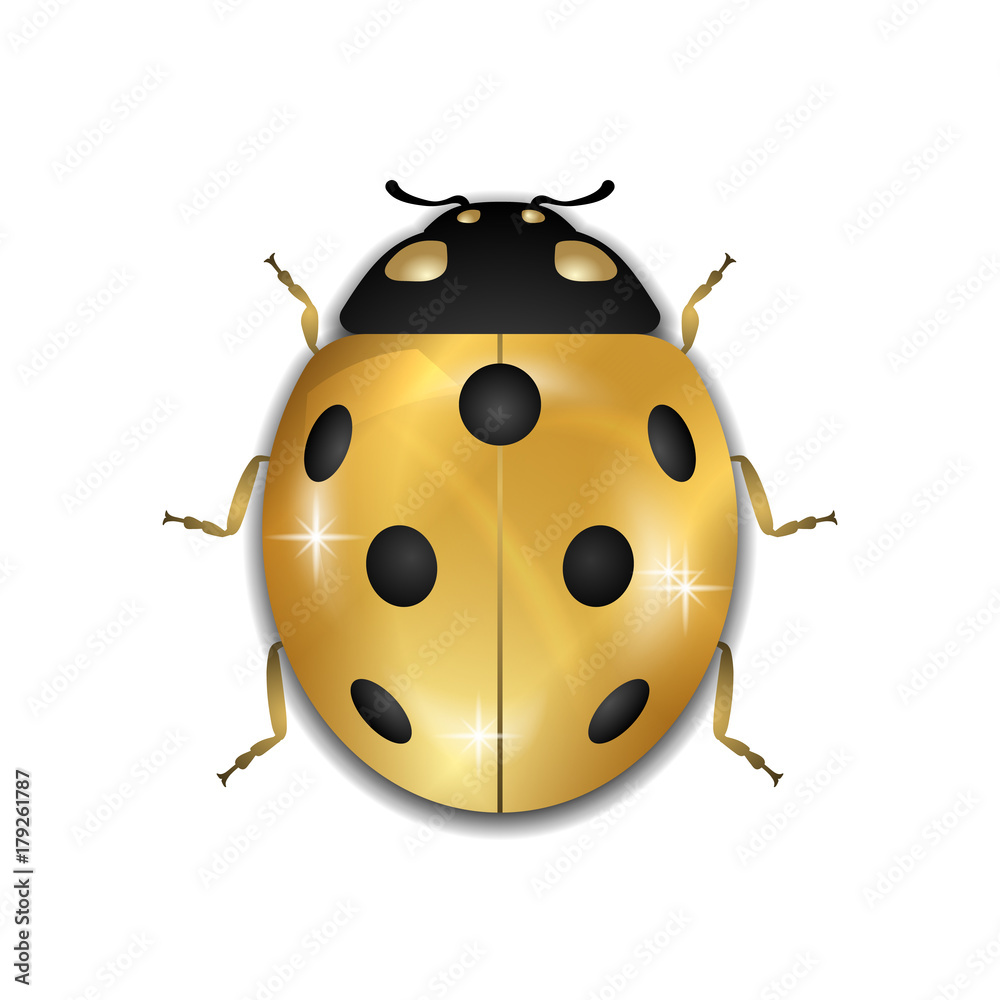 Ladybug gold insect small icon. Golden lady bug animal sign, isolated ...
