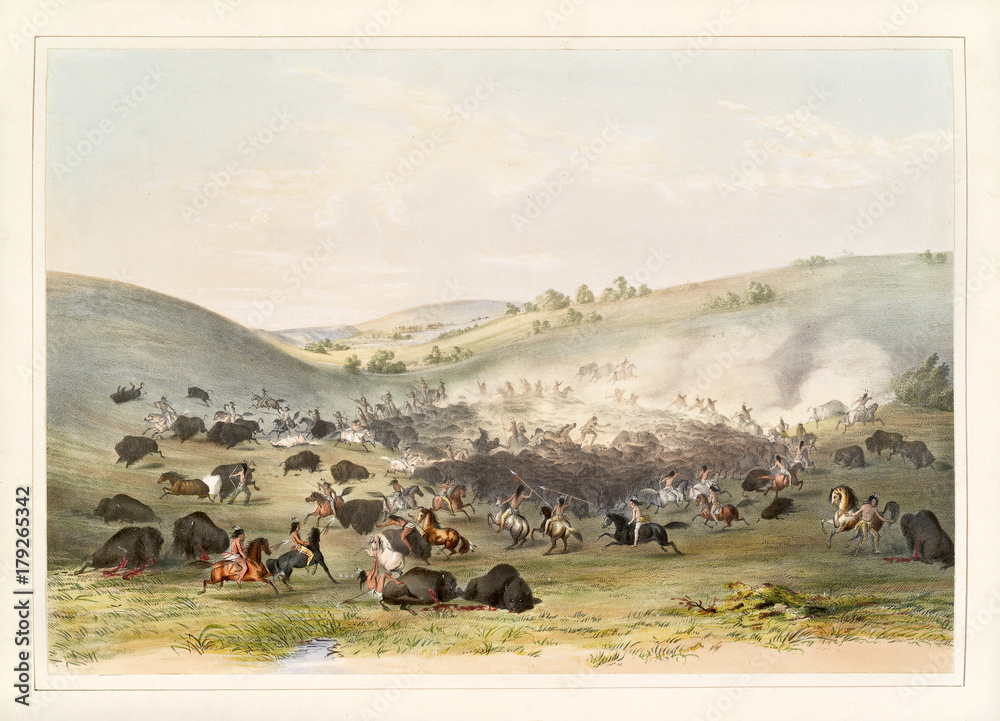 Buffalo hunt. Native indians surrounding a group of buffalos. Old ...