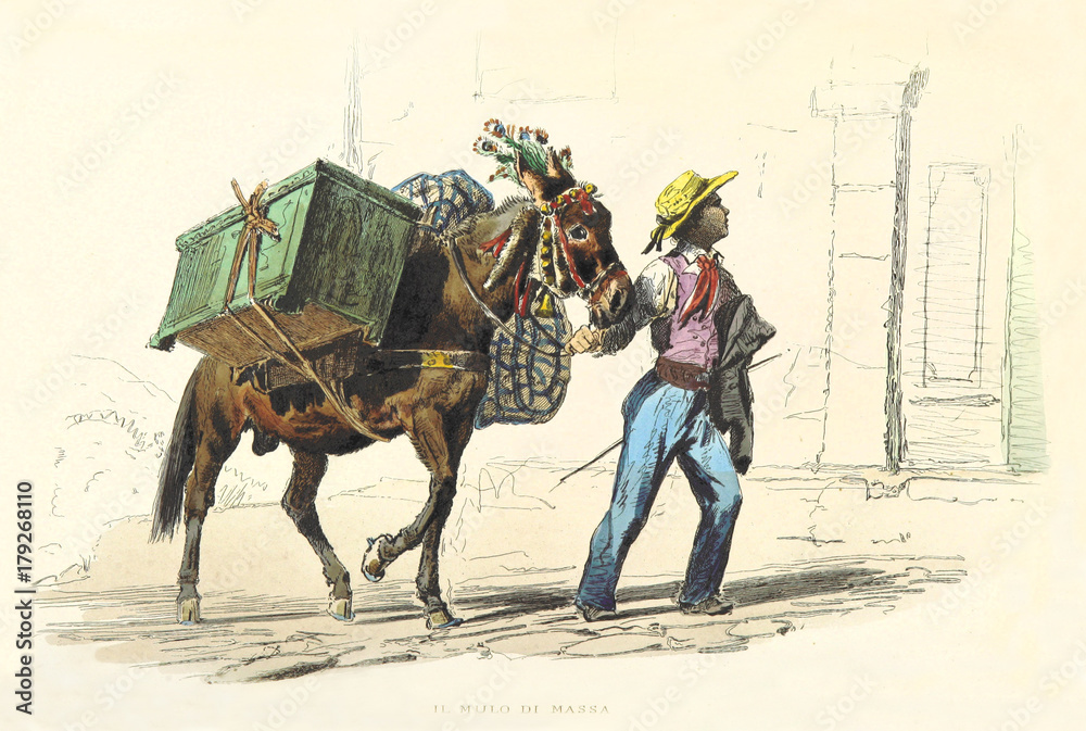 muleteer and his animal carrying furnitures and other goods. Outdoor ...