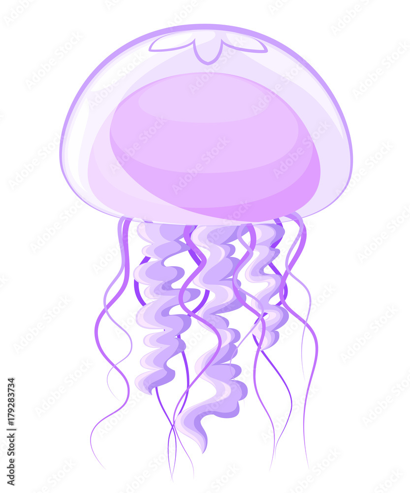 Jellyfish Vector Art