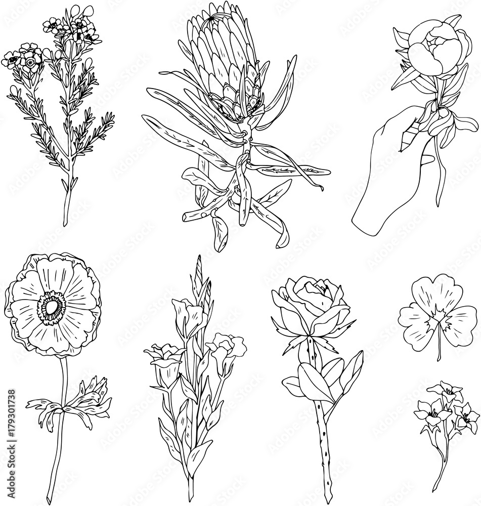 Set of flower and plant patches elements. Set of stickers, pins ...