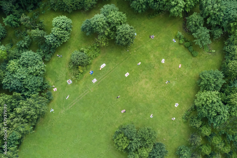 People sunbathe on a green lawn in the park, top view Stock Photo ...