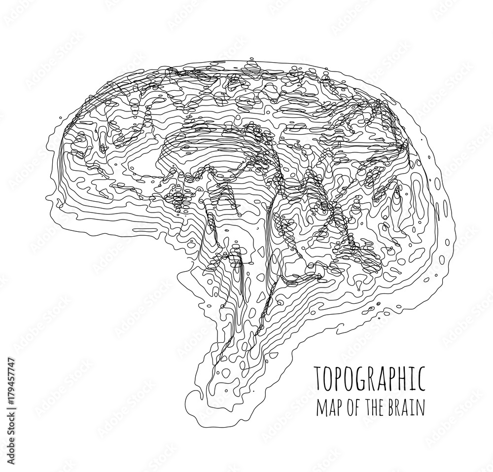 The brain in the form of a topographic map. The concept of modern ...