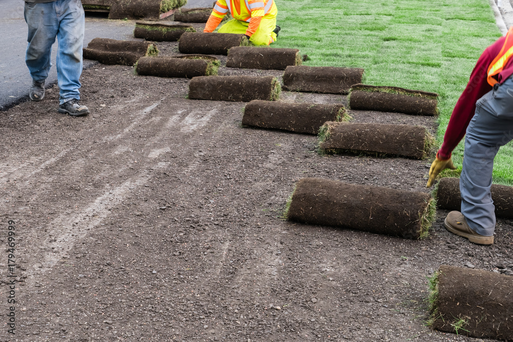 installation of sod Stock Photo | Adobe Stock