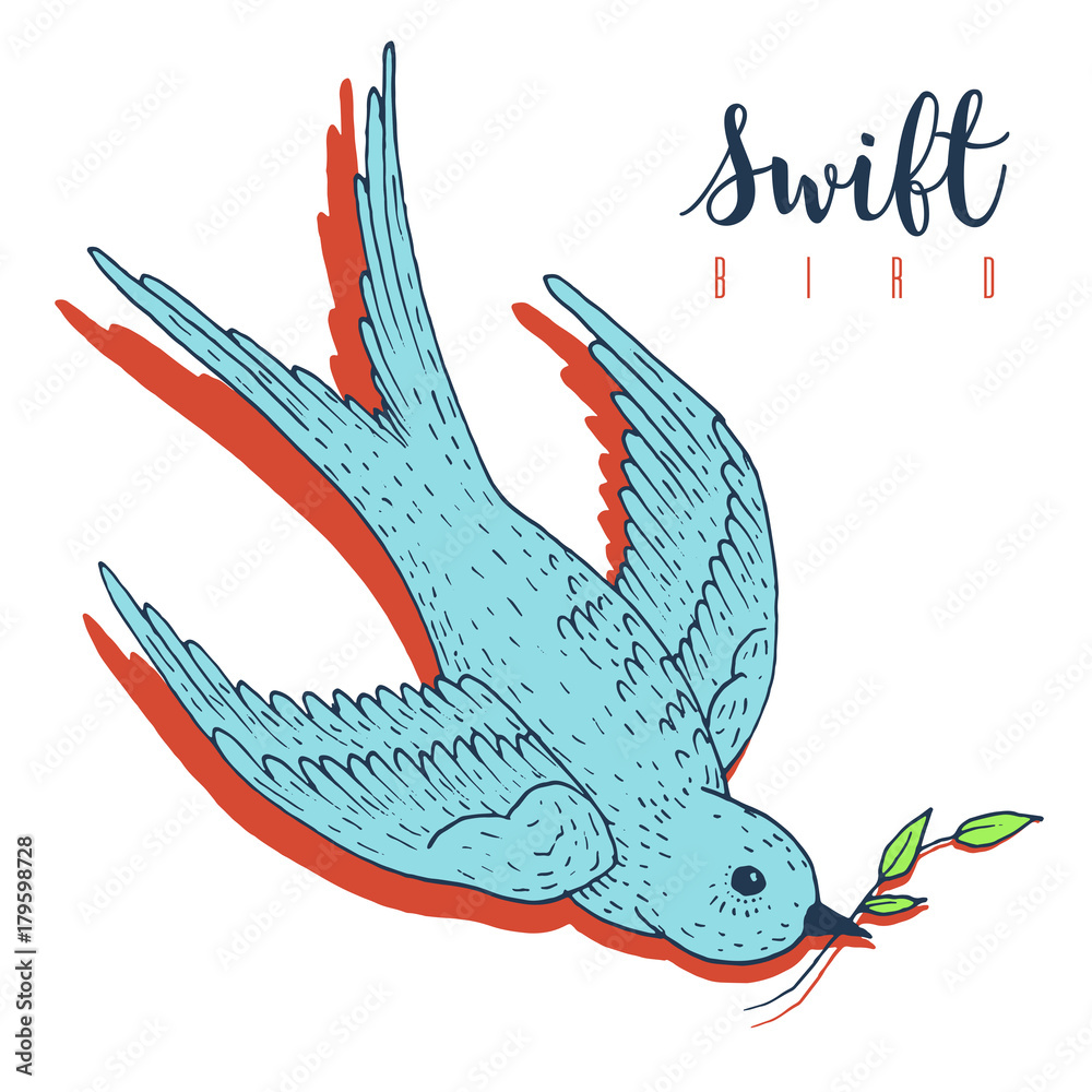 Swift bird vector hand drawn illustration. Sketch of flying swallow ...