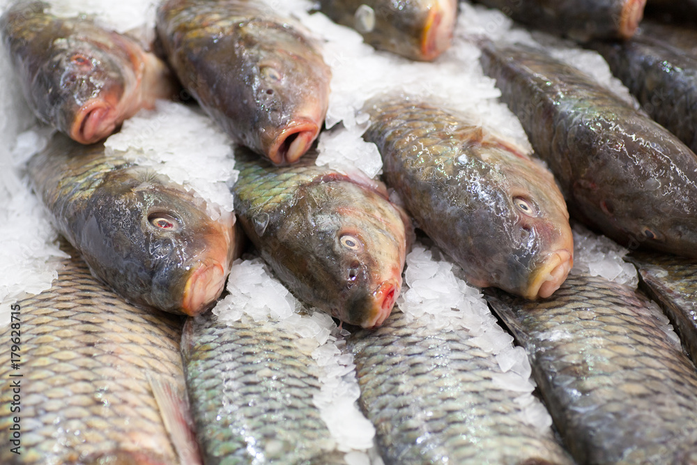 Frozen ice-cold fish in the store Frozen fish. Freshfish market. Gilt ...