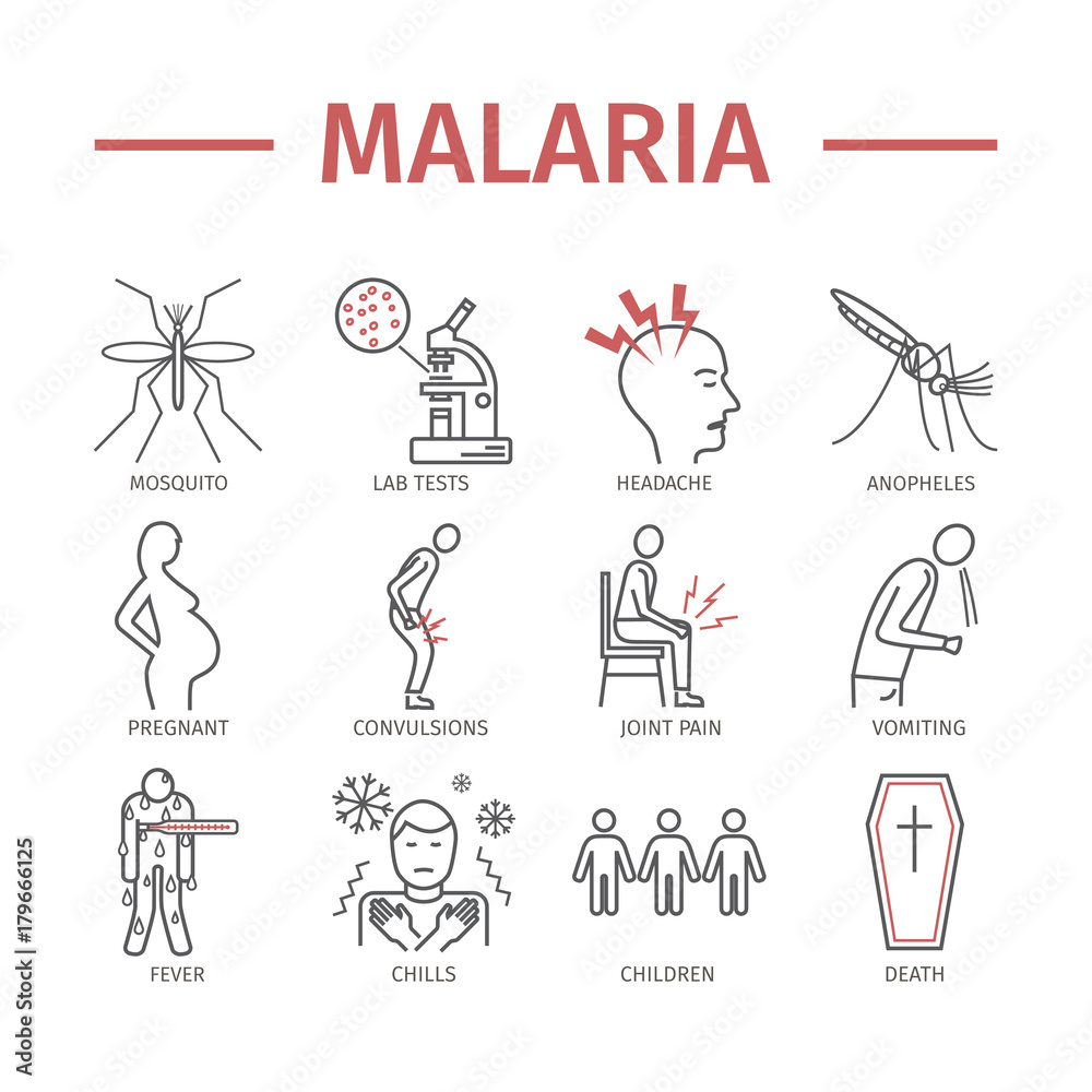 Malaria line icon Infographics. Symptoms, Vector signs for web graphics ...