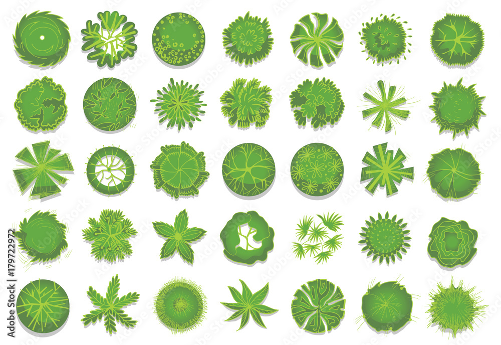 Various green trees, bushes and shrubs, top view for landscape design ...
