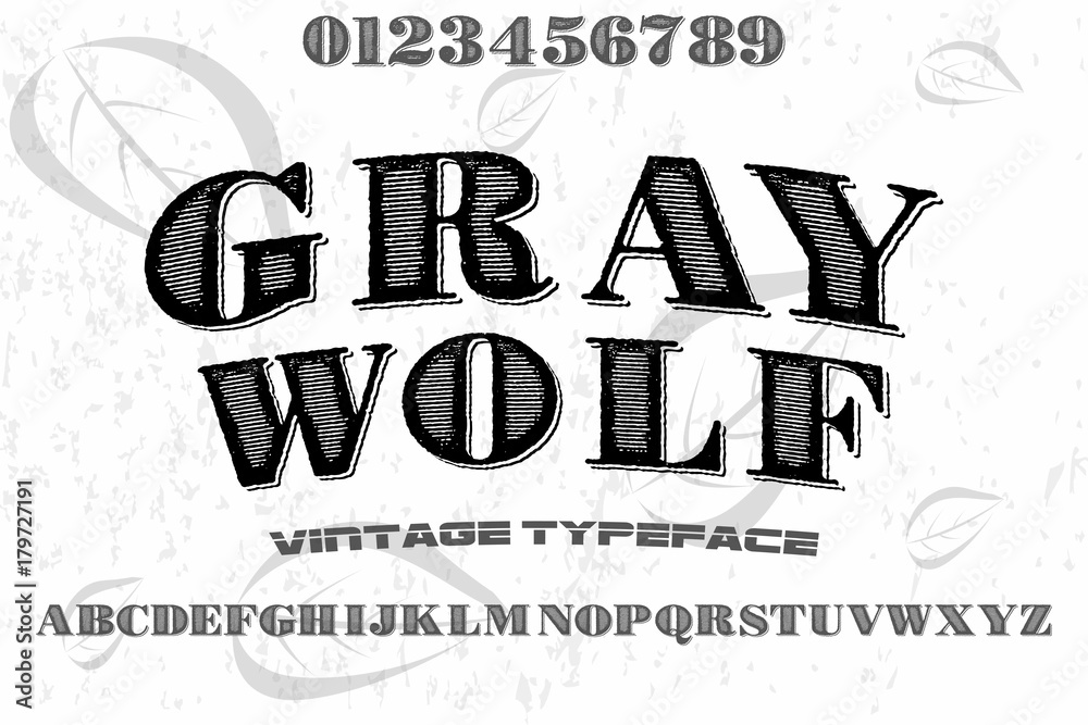 handcrafted vector script alphabet font vintage old style and vector ...