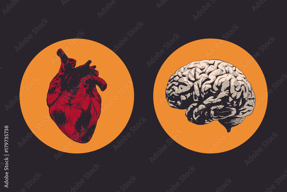 heart and brain vector isolated illustration Stock Vector | Adobe Stock