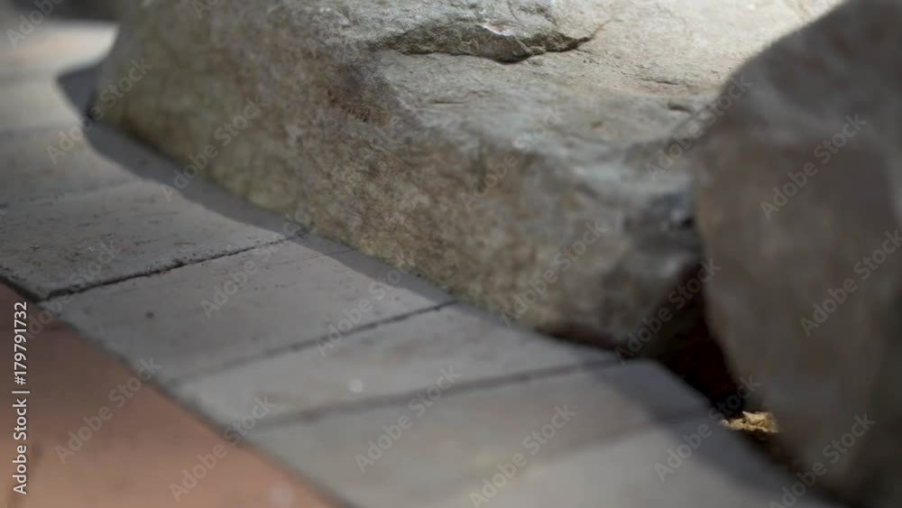 Vidéo Stock Construction zone detail showing the soldier course under ...