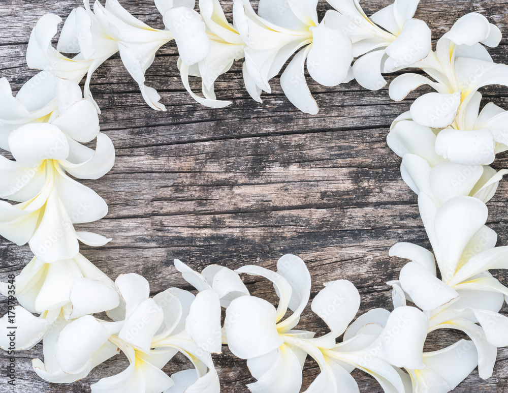 Frangipani Lei of Hawaiian island islander top view from above for ...