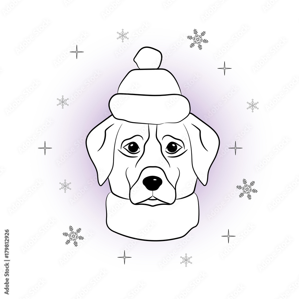 Head of dog in winter hat and scarf on snowflakes background. Pet in ...