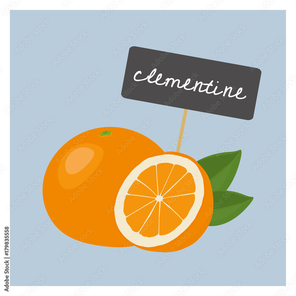 Vector Fruit - Clementine Stock Vector | Adobe Stock