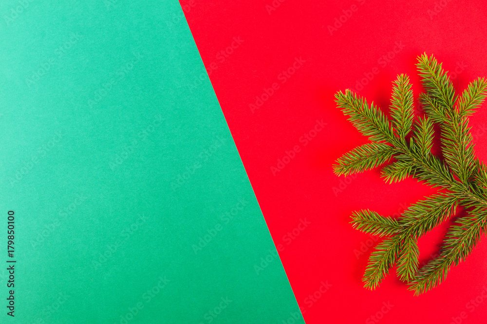 Christmas background. Green fir tree branch on red and green background ...