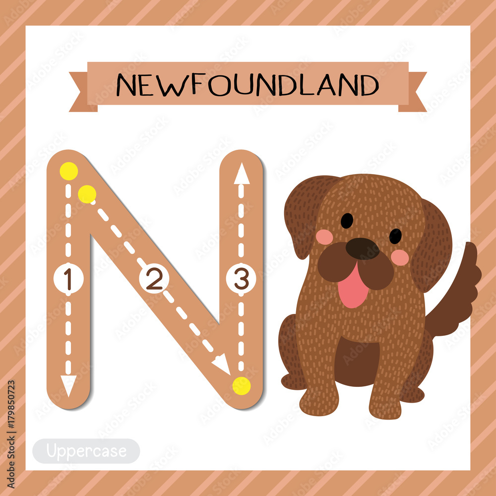 Letter N uppercase cute children colorful zoo and animals ABC alphabet ...