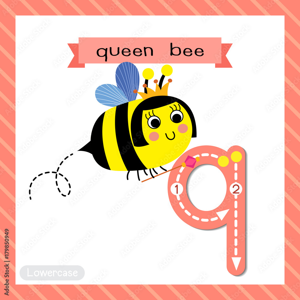 Letter Q lowercase cute children colorful zoo and animals ABC alphabet ...