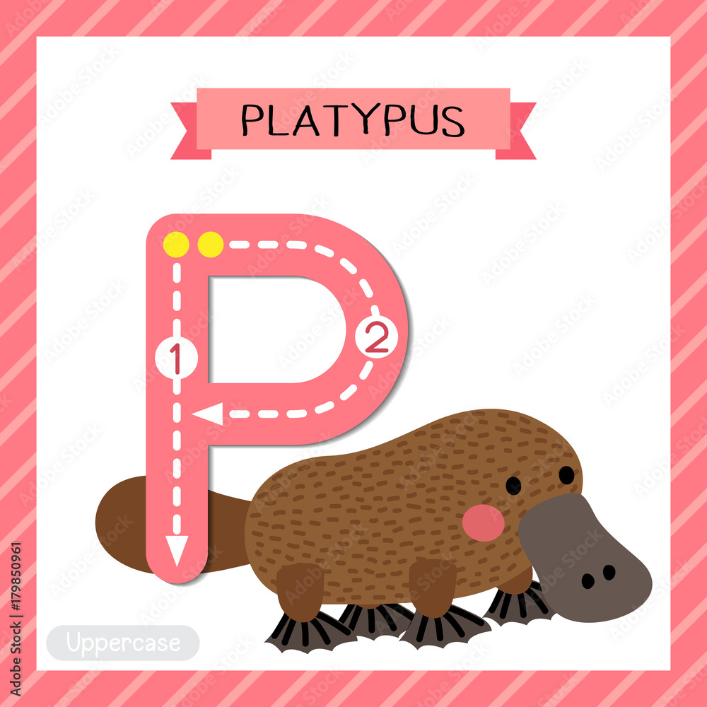 Letter P uppercase cute children colorful zoo and animals ABC alphabet ...