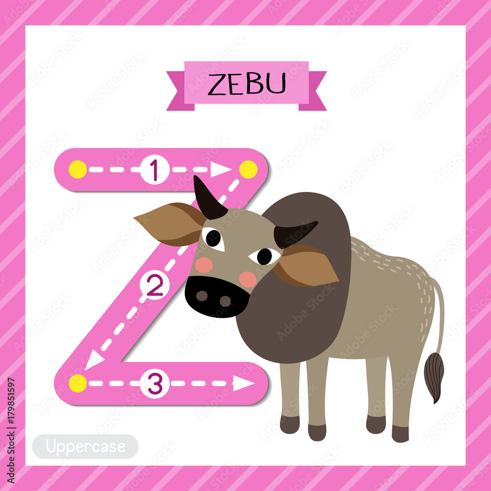 Letter Z uppercase cute children colorful zoo and animals ABC alphabet ...