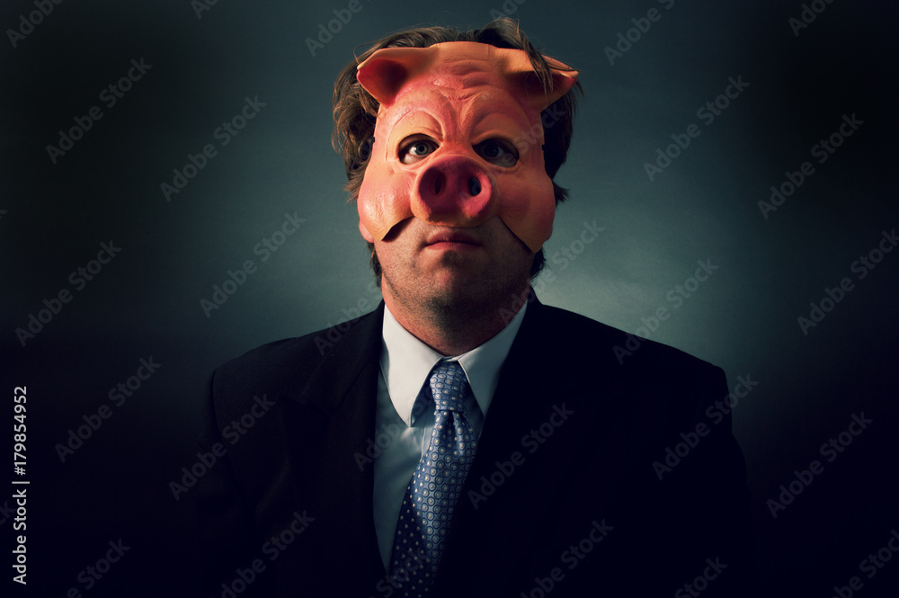 Pig Businessman Stock Photo | Adobe Stock