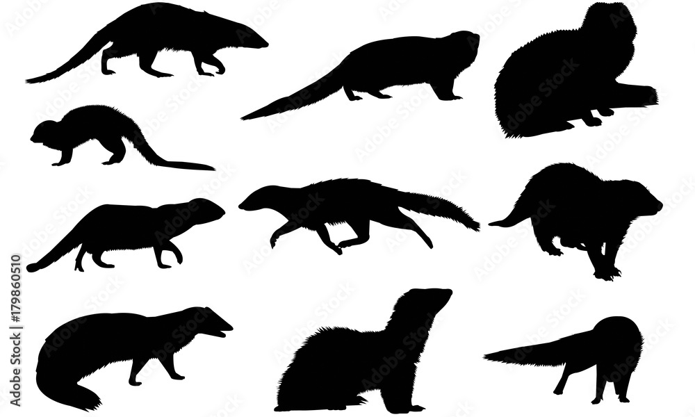 Mongoose Silhouette Vector Graphics Stock Vector | Adobe Stock