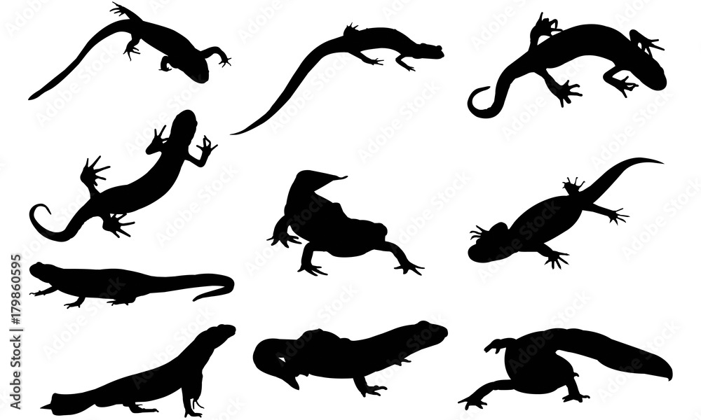 Newt Silhouette Vector Graphics Stock Vector | Adobe Stock