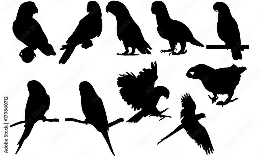 Parakeet Silhouette Vector Graphics Stock Vector | Adobe Stock