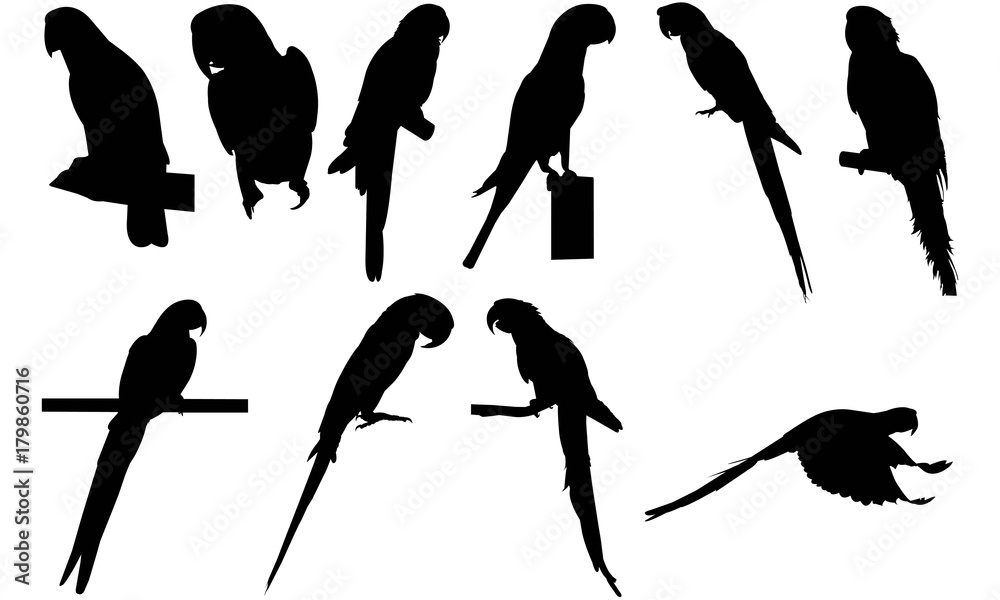 Parrot Silhouette Vector Graphics Stock Vector | Adobe Stock