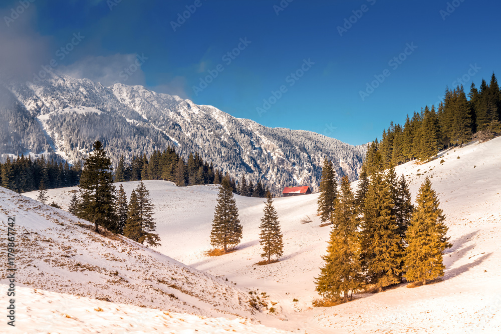 Romania Landscape Snow