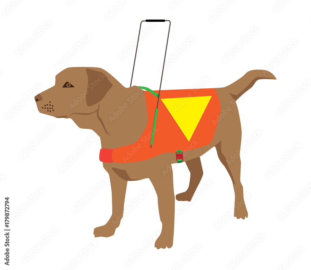 Seeing Eye Dog Clipart
